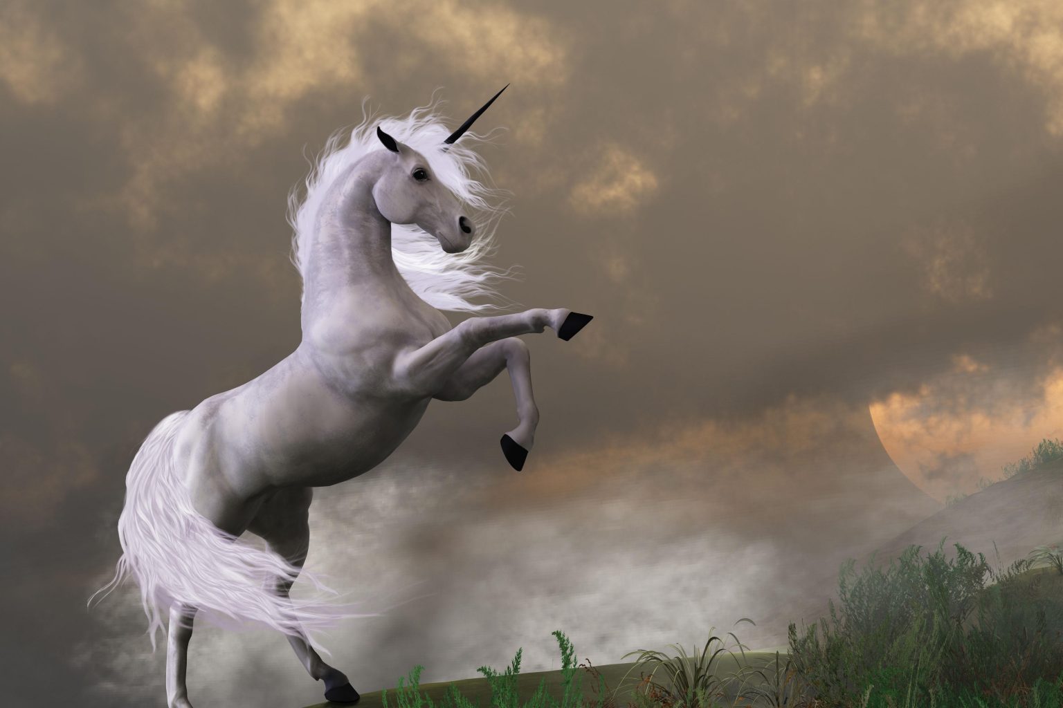 Finding The Mythical Unicorn Artso Net